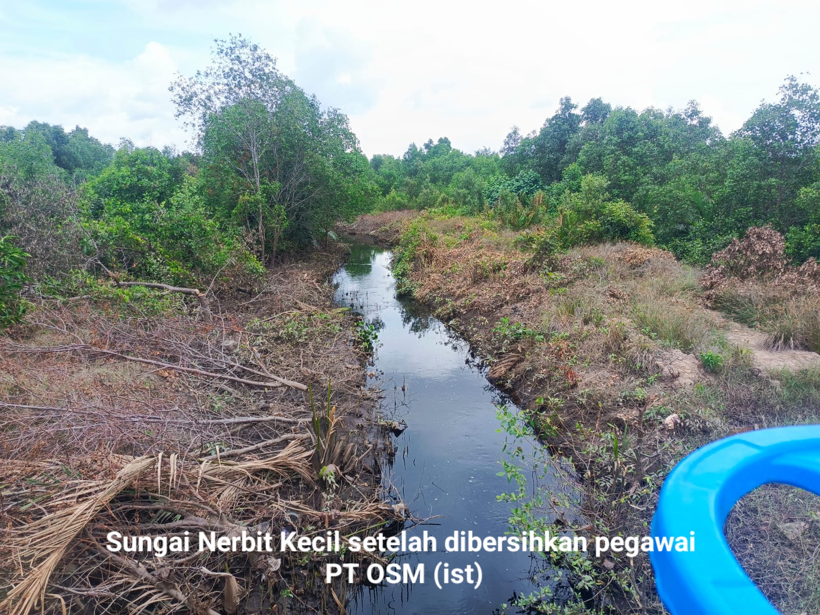 Sejak Sungai Ditimbun Sinarmas, Banjir Baru Surut 2-3 Hari, "Kami Benar ...