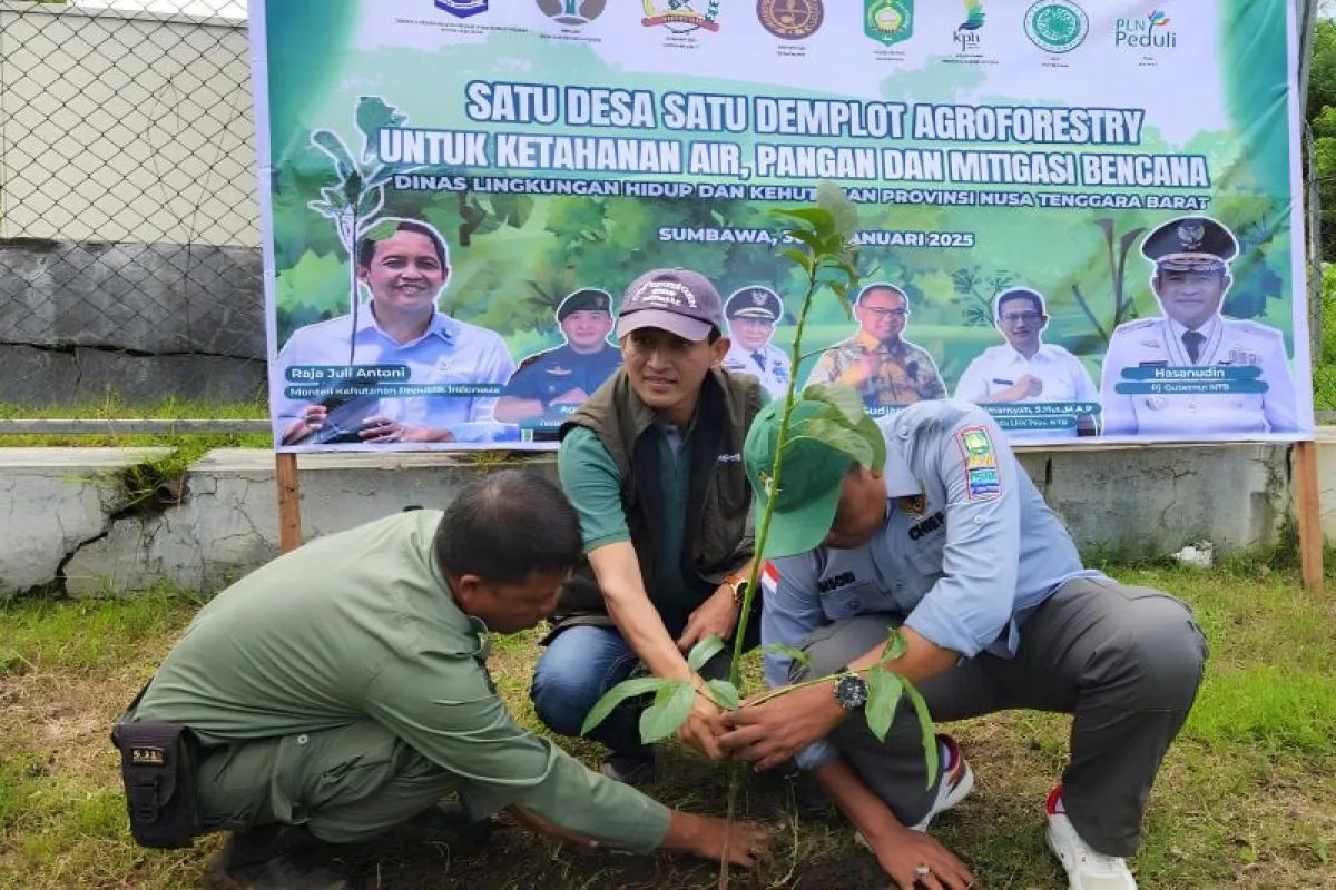 Lahan dan Hutan Rusak Akibat Budidaya Monokultur Jagung, Pemprov NTB Gerakan Satu Desa Satu ...
