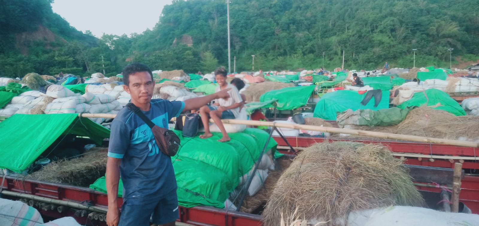 Ratusan Truk Angkutan Ternak Sapi dari Bima - Dompu Menumpuk di ...